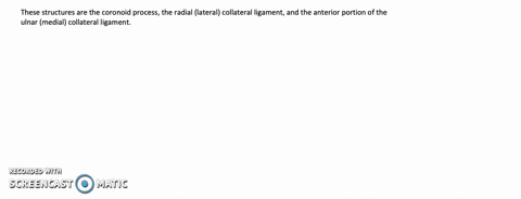 SOLVED:Watch this animation (http://openstaxcollege.org// elbowjoint1) to learn more about the ...