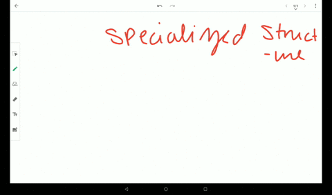 SOLVED:Watch this video (http://openstaxcollege.org/I/ spermpath) to explore the structures of ...