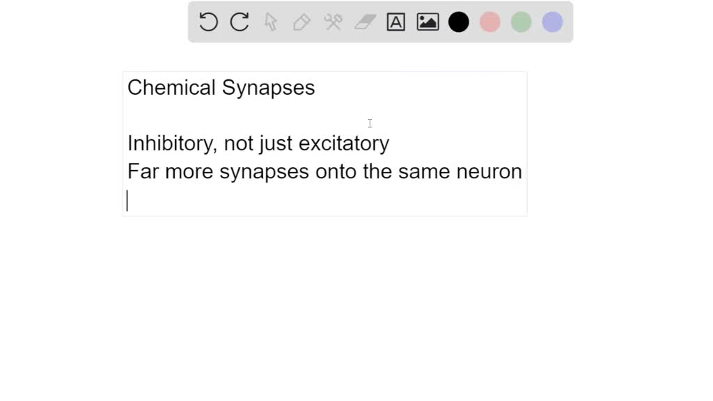 SOLVED:Why is Luria’s functional model of the brain such an important ...