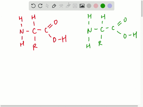Chapter 3, Protein Structure and Function Video Solutions, Biological ...