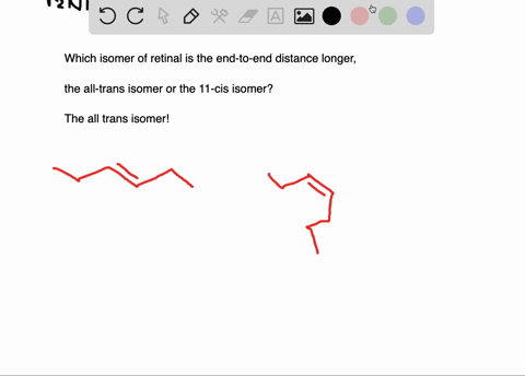 SOLVED:(Chemical Connections 12 A) In which isomer of retinal is the ...