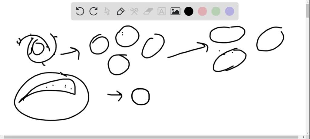 SOLVED:The theory of inflation suggests that the structure of the ...
