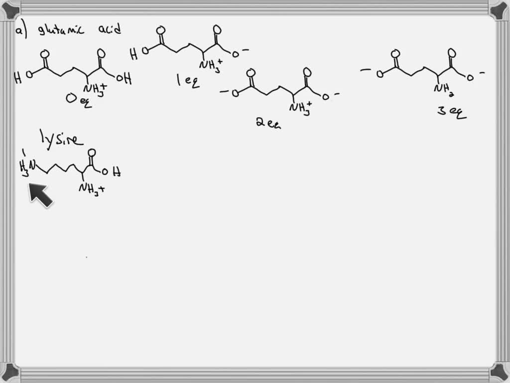 SOLVED:The titration curves for the amino acids glutamic acid and ...