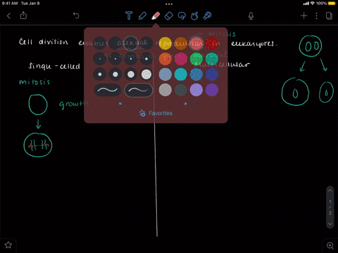 SOLVED:Explain how cell division enables asexual reproduction in single ...
