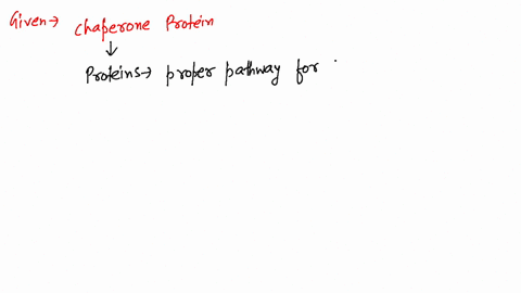 SOLVED:What is a chaperone protein? Give three examples of such ...