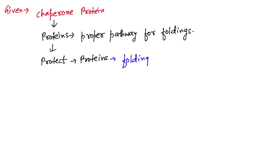 SOLVED:What is a chaperone protein? Give three examples of such ...