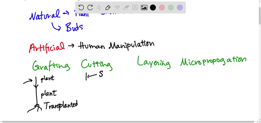 Solved Describe Natural And Artificial Methods Of Asexual Reproduction 3297