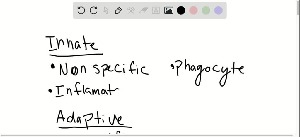 SOLVED:Describe the function of defense mechanisms, and define and give ...