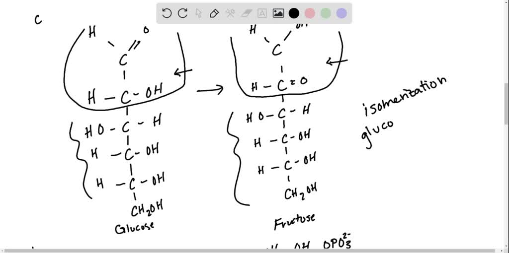 SOLVED: For the following pairs of biomolecules, identify the type of ...