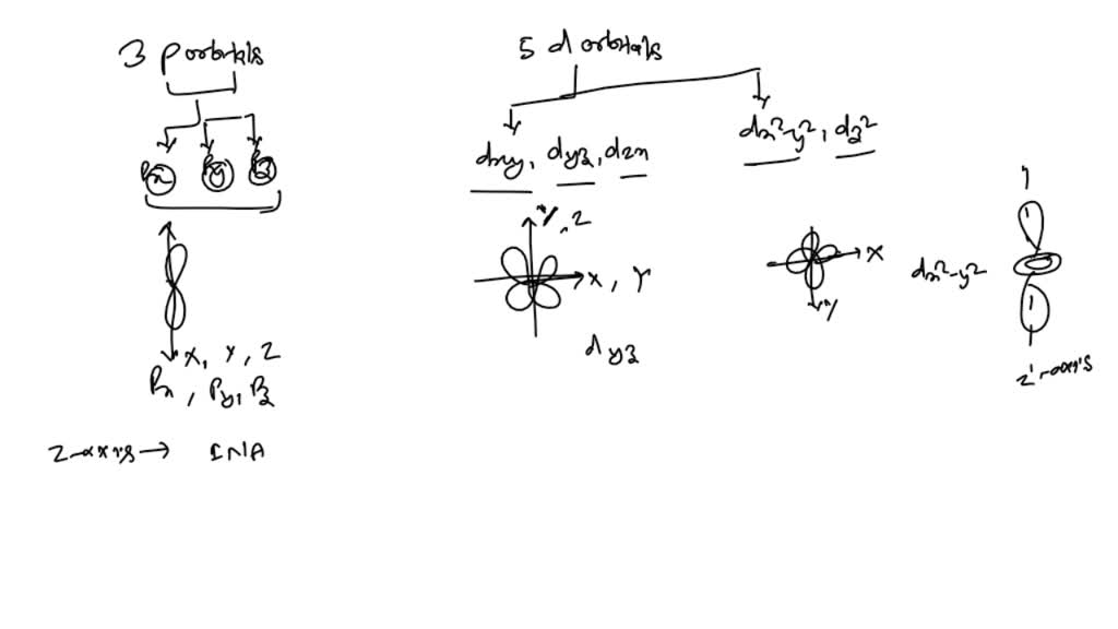 SOLVED:The five d orbitals in transition metals can be shown to have ...