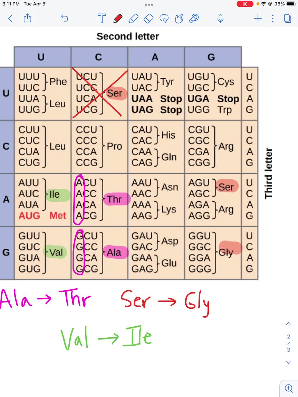 SOLVED:In studies of the amino acid sequence of wild-type and mutant ...