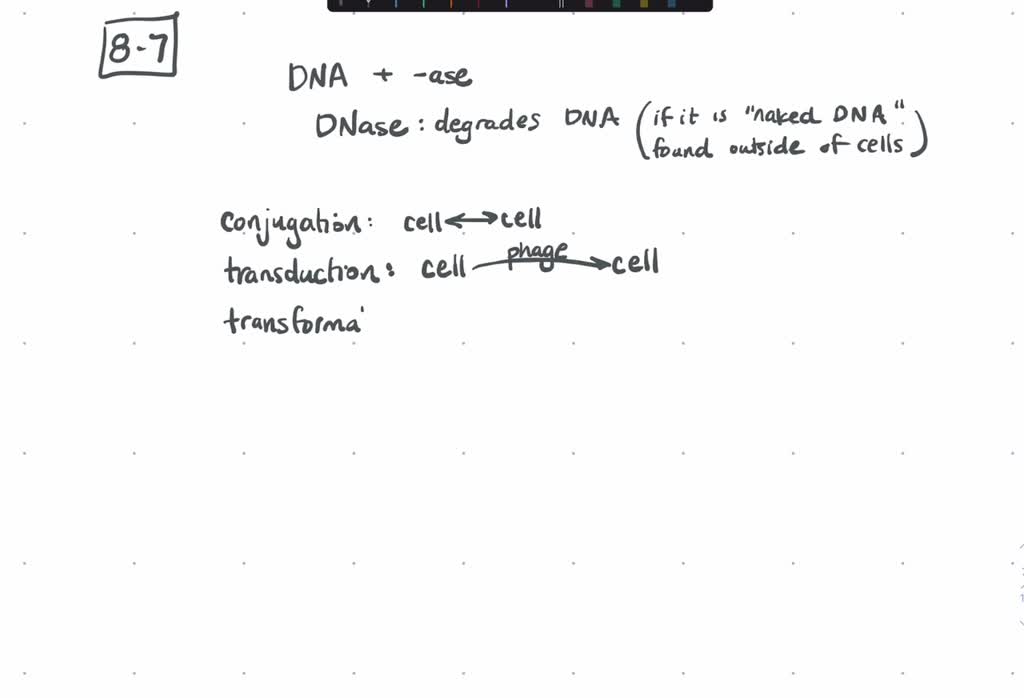 SOLVED:The addition of DNase to a mixture of donor and recipient cells ...