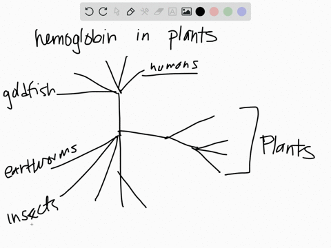 ⏩SOLVED:Plant hemoglobins were found initially in legumes, where ...
