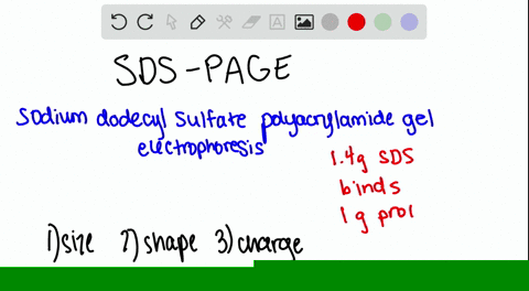 SOLVED:What is the function of sodium dodecyl sulfate (SDS) in SDS-PAGE ...
