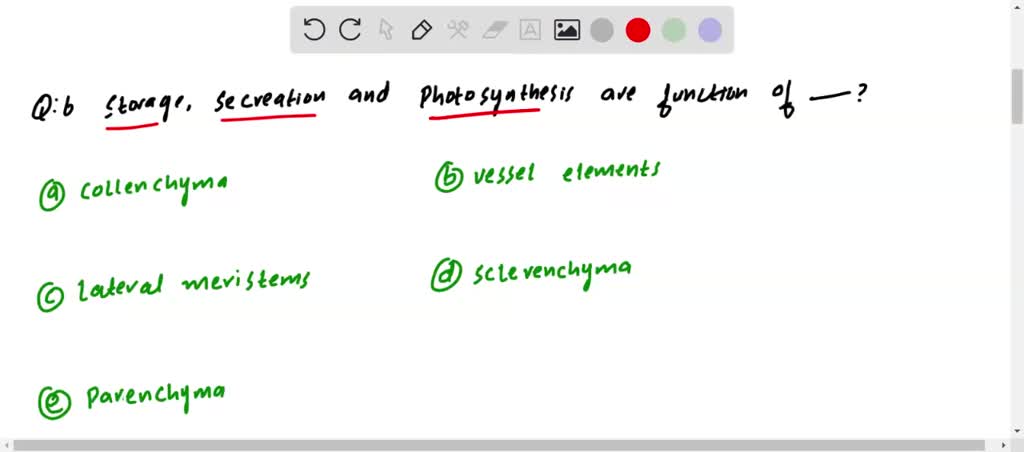 SOLVED: Son las estructuras que ayudan a la planta en la eliminación se ...