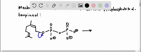 SOLVED:Propose a mechanism showing how the anticancer drug temozolomide ...