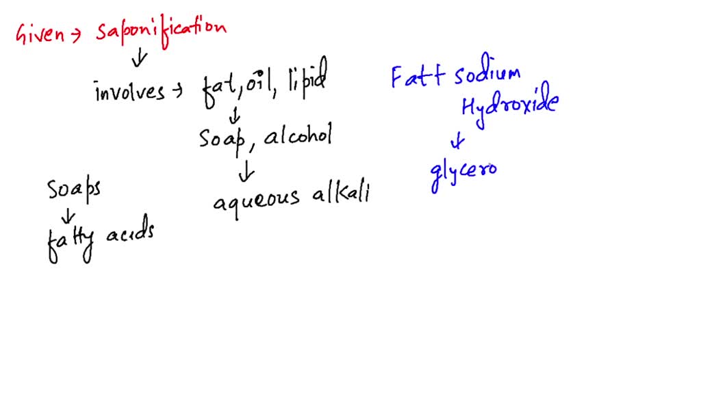 SOLVED:Draw the structures of all products you would obtain by ...