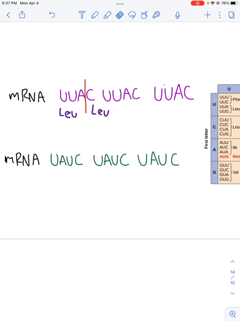 SOLVED:The mRNA formed from the repeating tetranucleotide UUAC ...