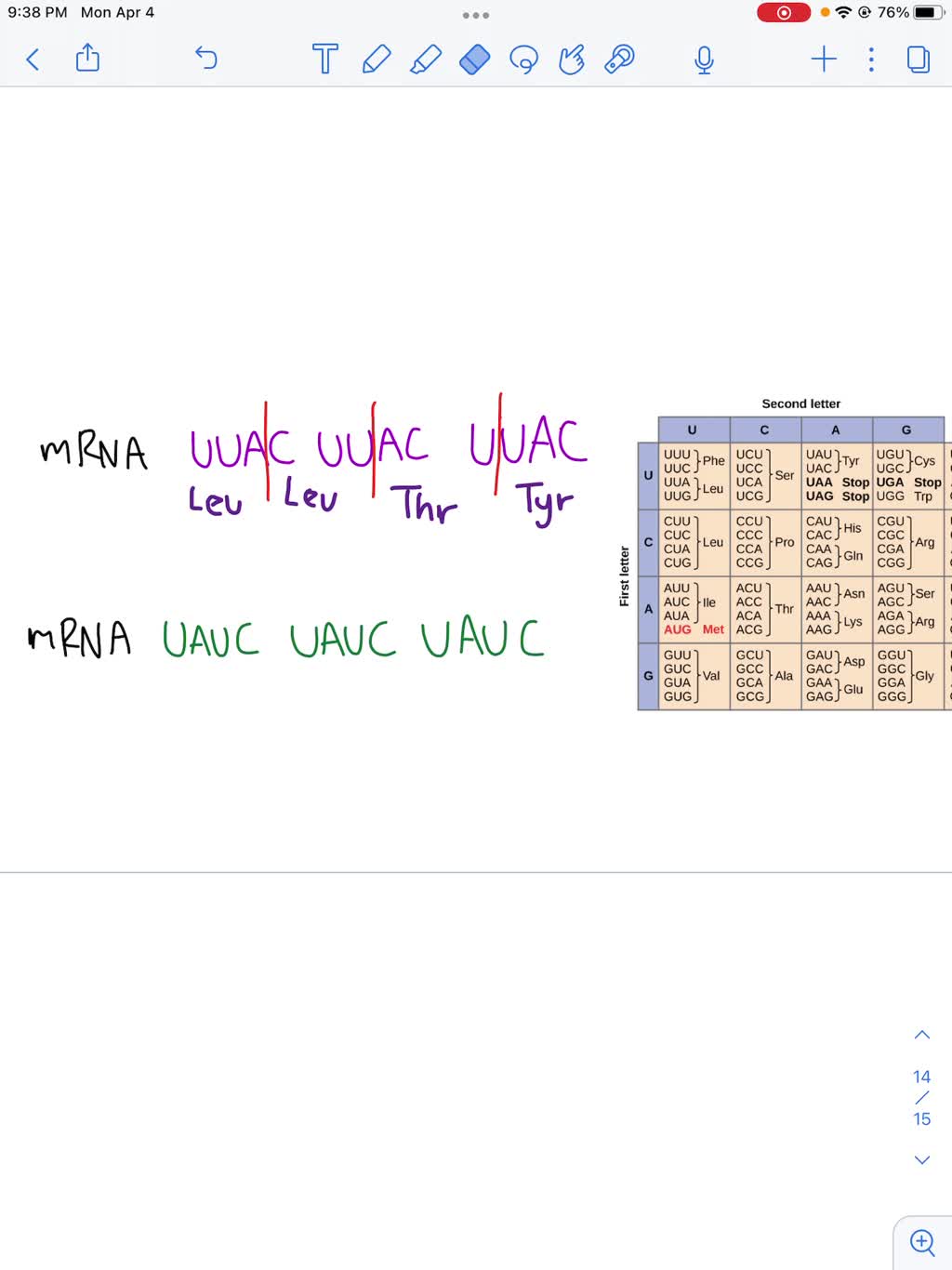 SOLVED:The mRNA formed from the repeating tetranucleotide UUAC ...