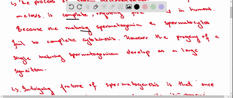 ⏩SOLVED:A syncytium is a "cell" that contains more than one nucleus ...