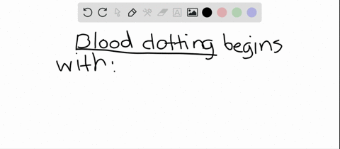 The complex sequence of steps leading to the conversion of fibrinogen to fibrin is called (a ...