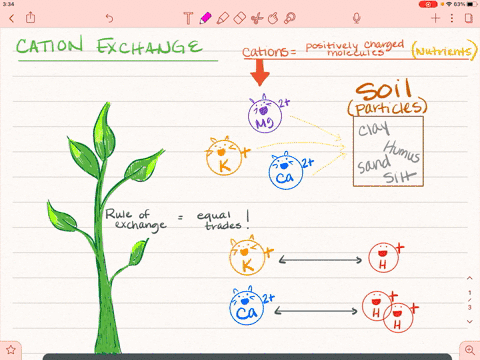 SOLVED:Draw a simple sketch of cation exchange, showing a root hair, a ...
