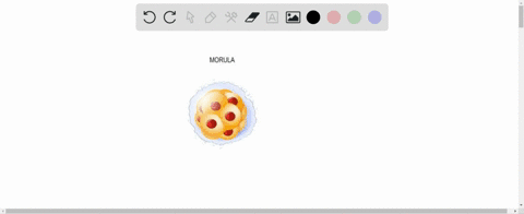 SOLVED:Define the following terms: chromophore, auxochrome ...
