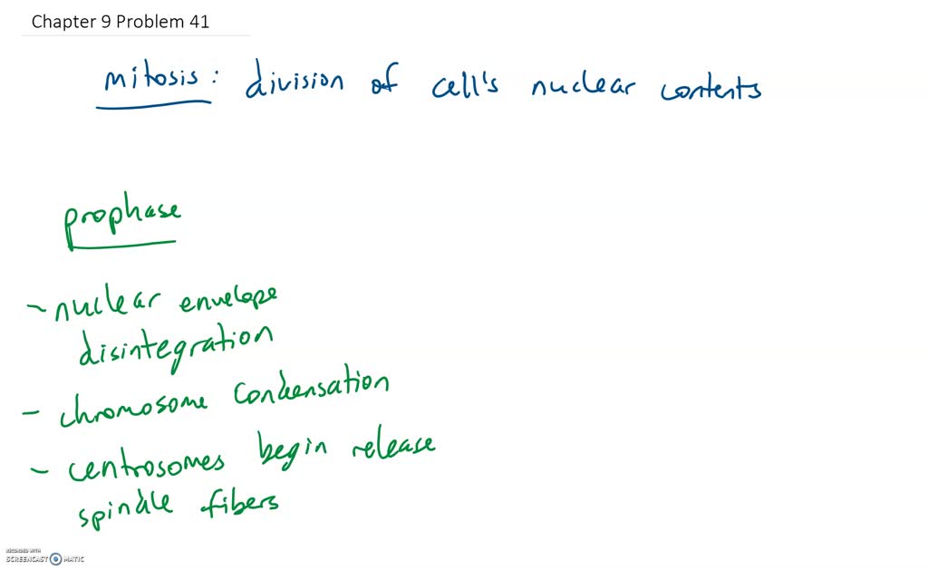 Write a skit using props and people to demonstrate mitosis. | Numerade