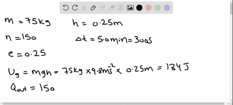 SOLVED:A weightlifter has a basal metabolic rate of 80.0 \mathrm{~W ...
