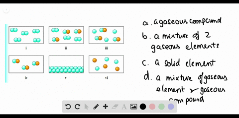 SOLVED:Match each description below with the following microscopic ...