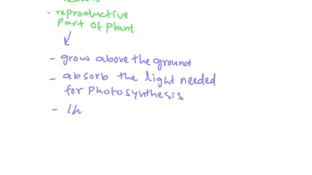 List the main vegetative organs of a plant, and explain how each relies ...