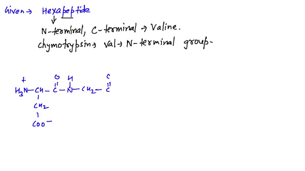 SOLVED:Draw the hexapeptide Asp-Gly-Phe-Leu-Glu-Ala in linear form showing all of the atoms, and ...