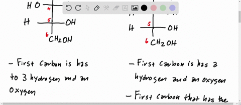 SOLVED:What are the differences in Fischer projections of D-sorbose and ...