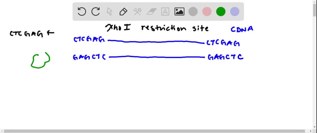 SOLVED:Modify the program in Fig. 24.2 to allow users to add their own ... SOLVED:Modify the program in Fig. 24.2 to allow users to add their own ...