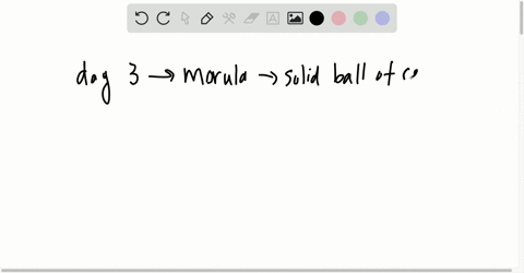 SOLVED: View this time-lapse movie (http://openstaxcollege.org/l/conceptus) of a conceptus ...