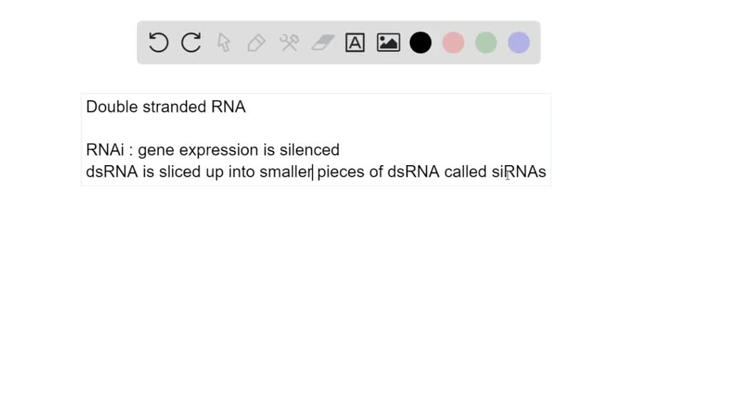 SOLVED:Why does double-stranded RNA (dsRNA) stimulate RNA interference?