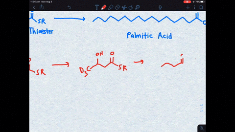 SOLVED:a. If the biosynthesis of palmitic acid were carried out with ...