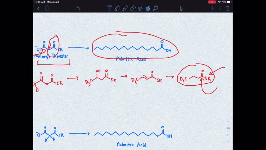 SOLVED:a. If the biosynthesis of palmitic acid were carried out with ...