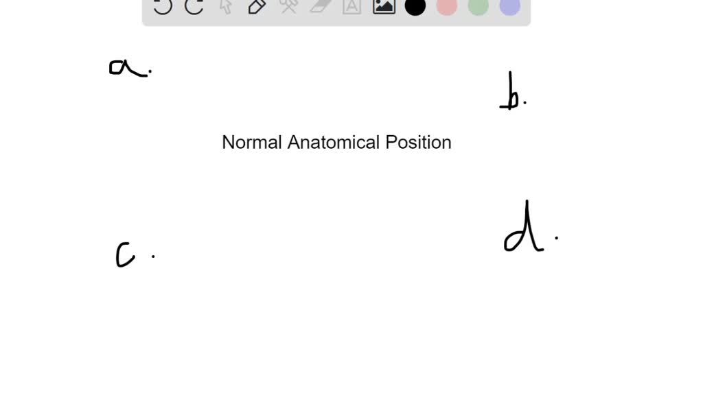 SOLVED What Is The Position Of The Body When It Is In The normal