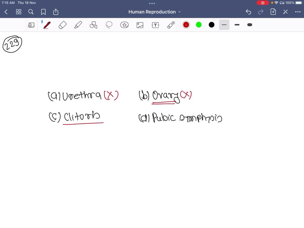 SOLVED What Is Indicated By c In The Figure a Urethra b Ovary c solved-what-is-indicated-by-c-in-the-figure-a-urethra-b-ovary-c