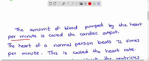 SOLVED:Cardiac output (CO) is used to measure the efficiency of the heart as a pump. What is the ...