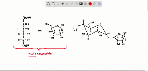 SOLVED:Write a formula and give a name for a monosaccharide and a ...