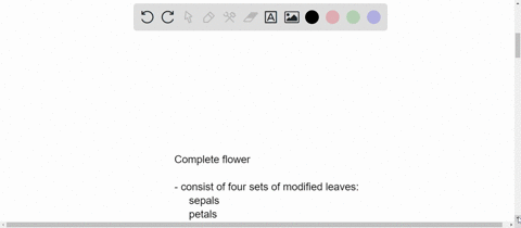 SOLVED:Compare complete flowers and incomplete flowers.