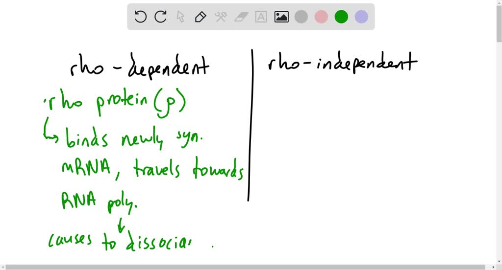 SOLVED:What is the main structure that differentiates between ...