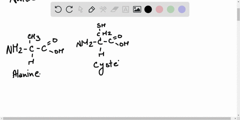SOLVED:Consider the amino acids alanine, cysteine, and asparagine ...