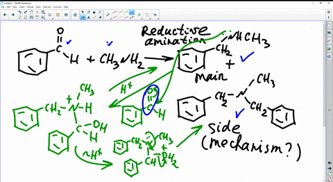 SOLVED:One problem with reductive amination as a method of amine ...