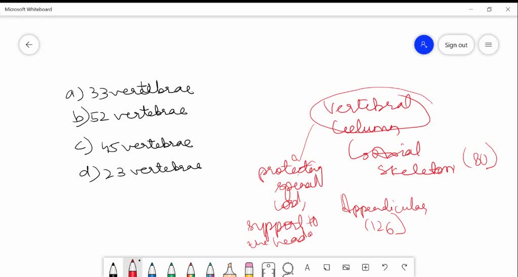 SOLVED:The adult vertebral column contains four normal curves (cervical ...