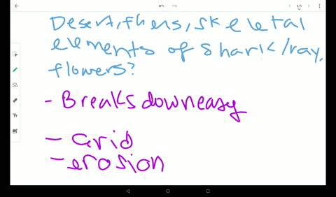 SOLVED:Stages in the origin of the first cells probably included the ...