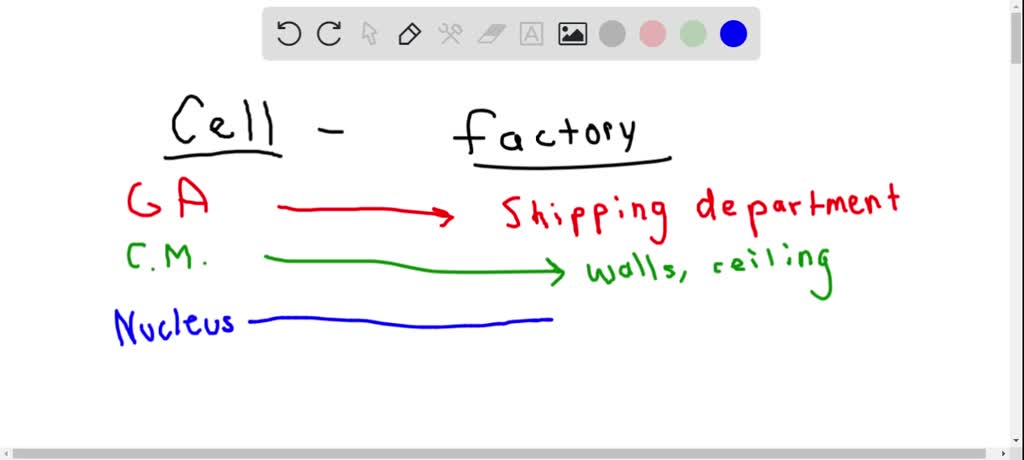SOLVED:One way to understand cell function is to compare the parts of a ...