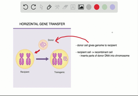 SOLVED:Which of the following are called "jumping genes"? a. Hfr cells ...